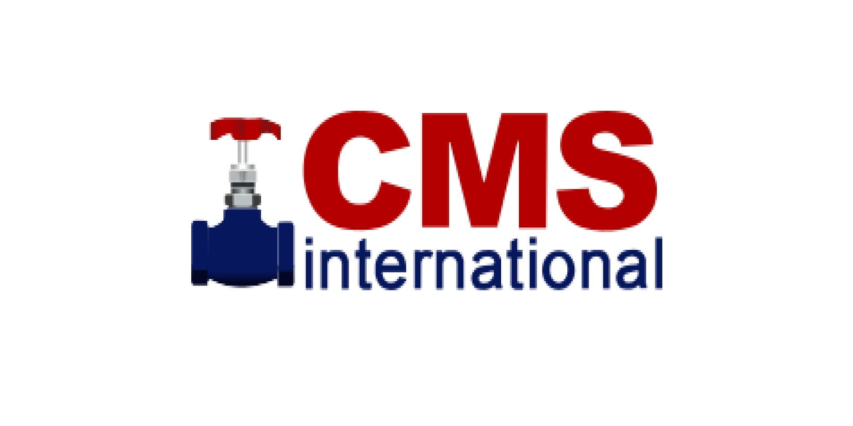 CMS INTERNATIONAL